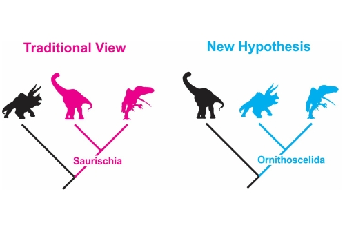 University of Bristol Prof Mike Benton: we should stick to the orthodox ...
