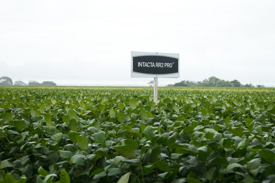 STUDY: Bayer’s Intacta RR2 PRO™ soybeans technology helps farmers ...