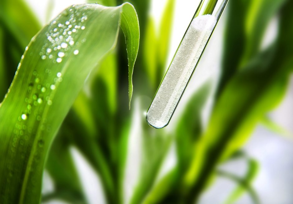 WACKER Group and biotech startup Biosyntia partner over the development ...