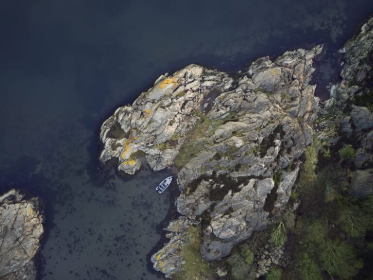 Skandinaviska Enskilda Banken AB (SEB) announces new net-zero aligned ...