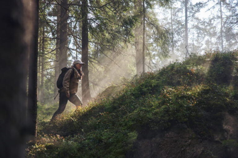 SEB Investment Management adopts net zero GHG emissions target by 2040 ...