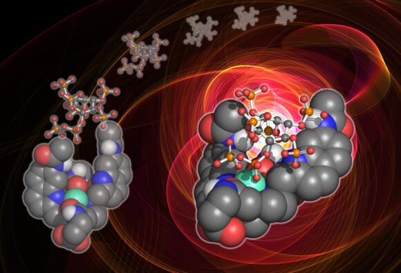 Novel Small Molecule Probe Developed by Loughborough University and ...