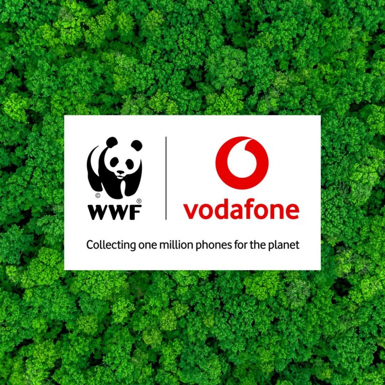 Vodafone-WWF Partnership Celebrates One Year of Environmental Impact ...