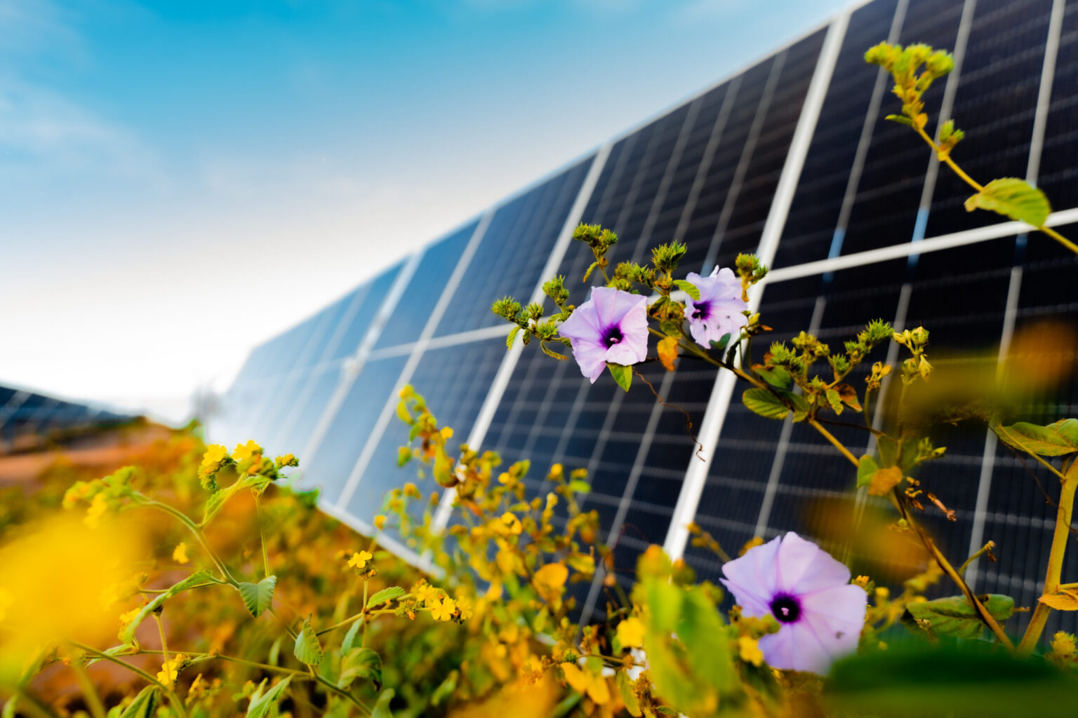 EOS Investment Management Group Acquires Six Solar Greenfield Projects ...
