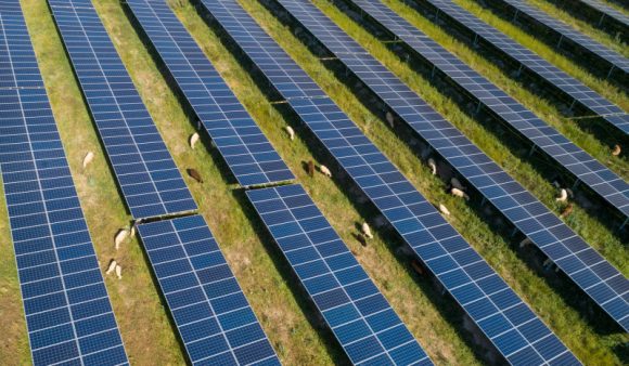 VELUX Group Achieves 100% Renewable Electricity Goal with Completion of ...