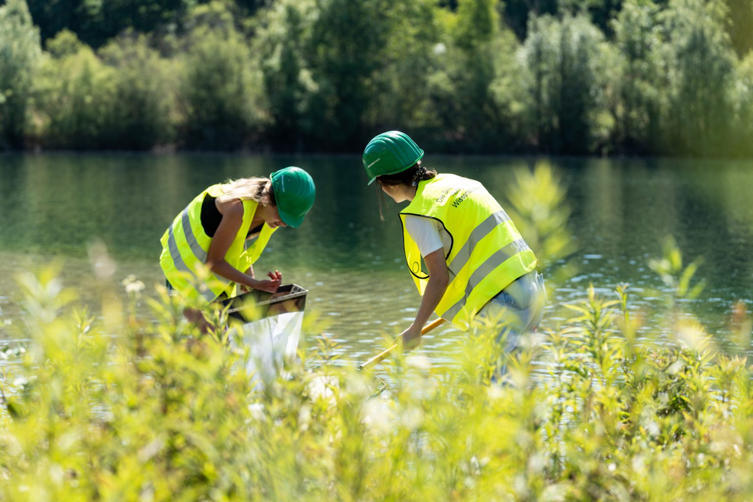 Heidelberg Materials Launches Sixth Quarry Life Award to Promote ...