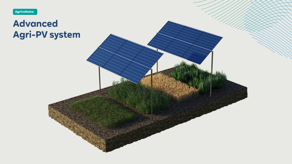 RWE Breaks Ground on First Commercial-Scale Agri-PV Projects in Italy ...